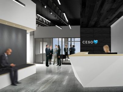 About - CESO Inc